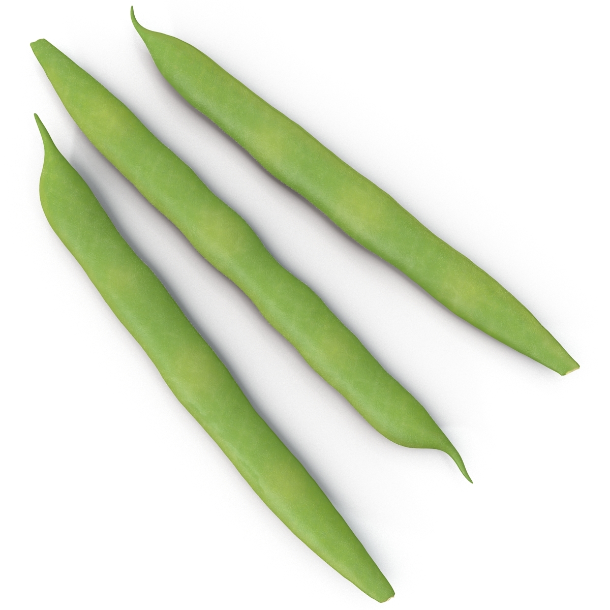 3d model green beans