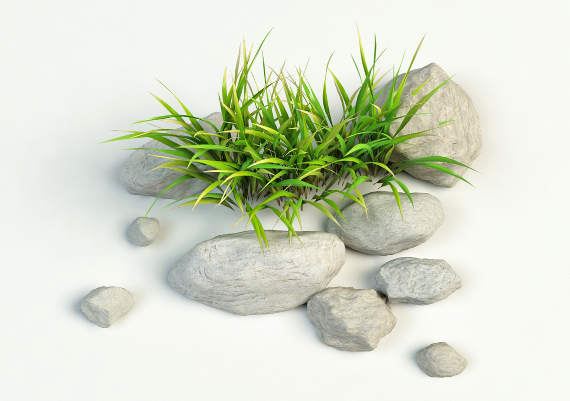 3ds max grass stones