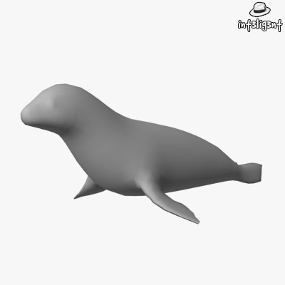 3D Seal Models | TurboSquid