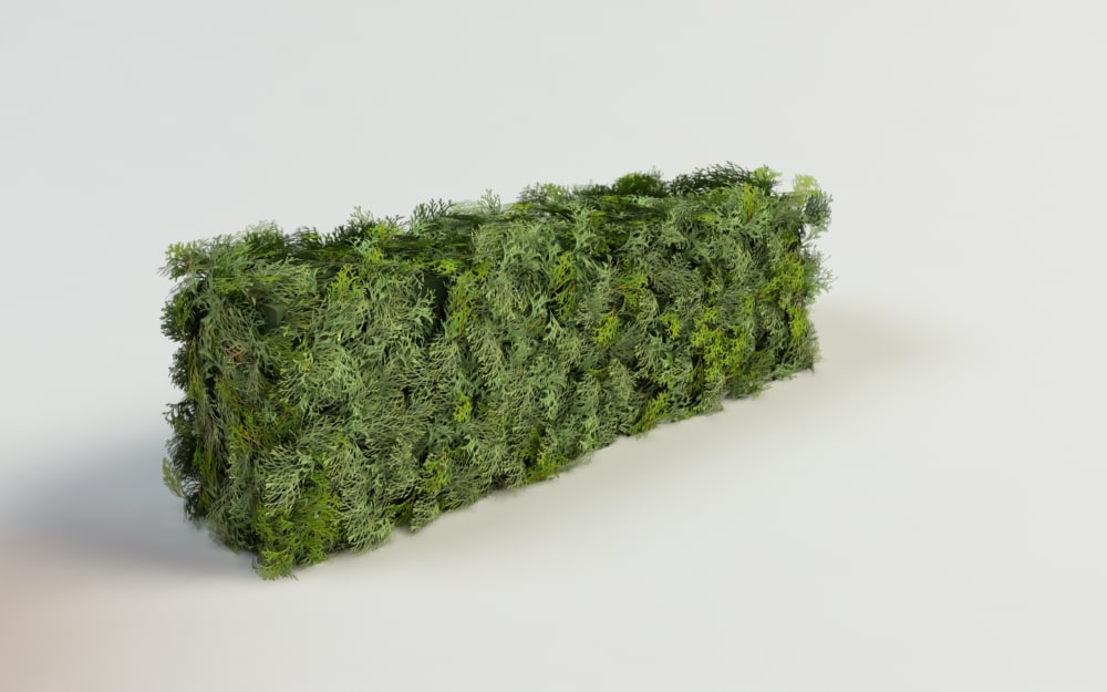 topiary thuja bush hedges 3d max