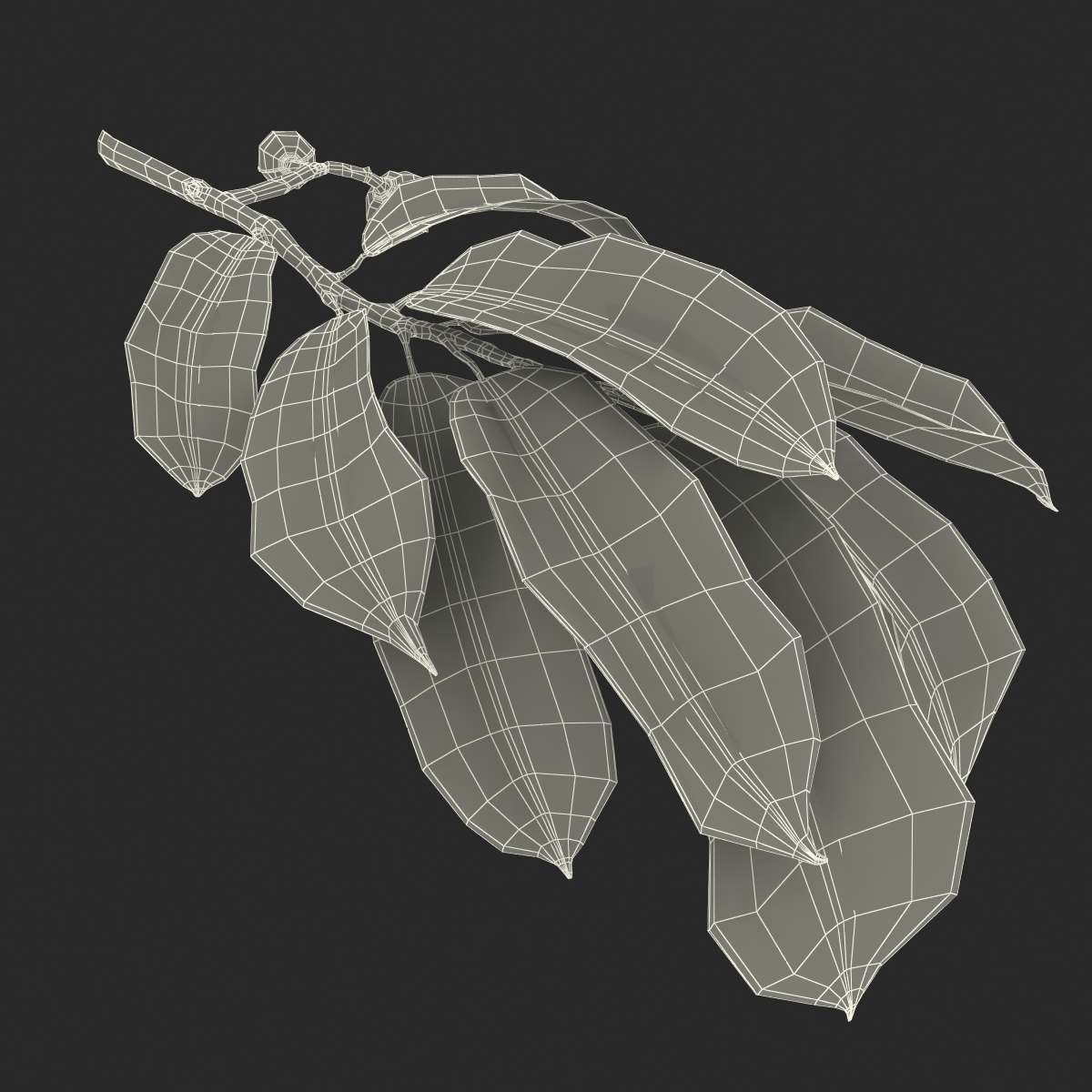 branch leaves 3d 3ds