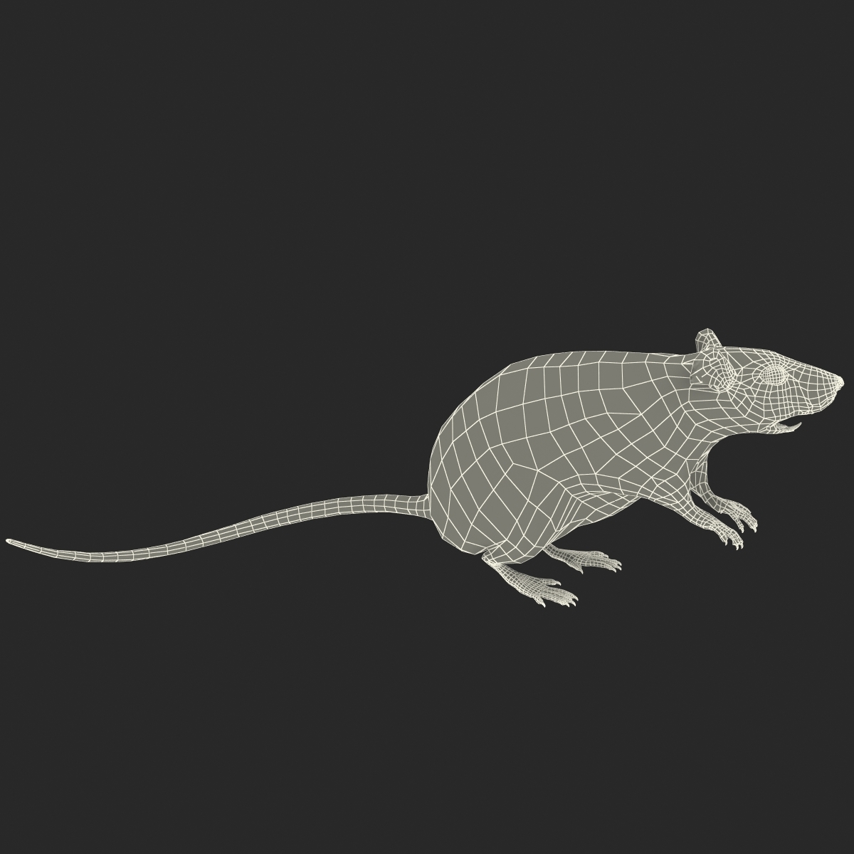 3d rat pose 2 fur model