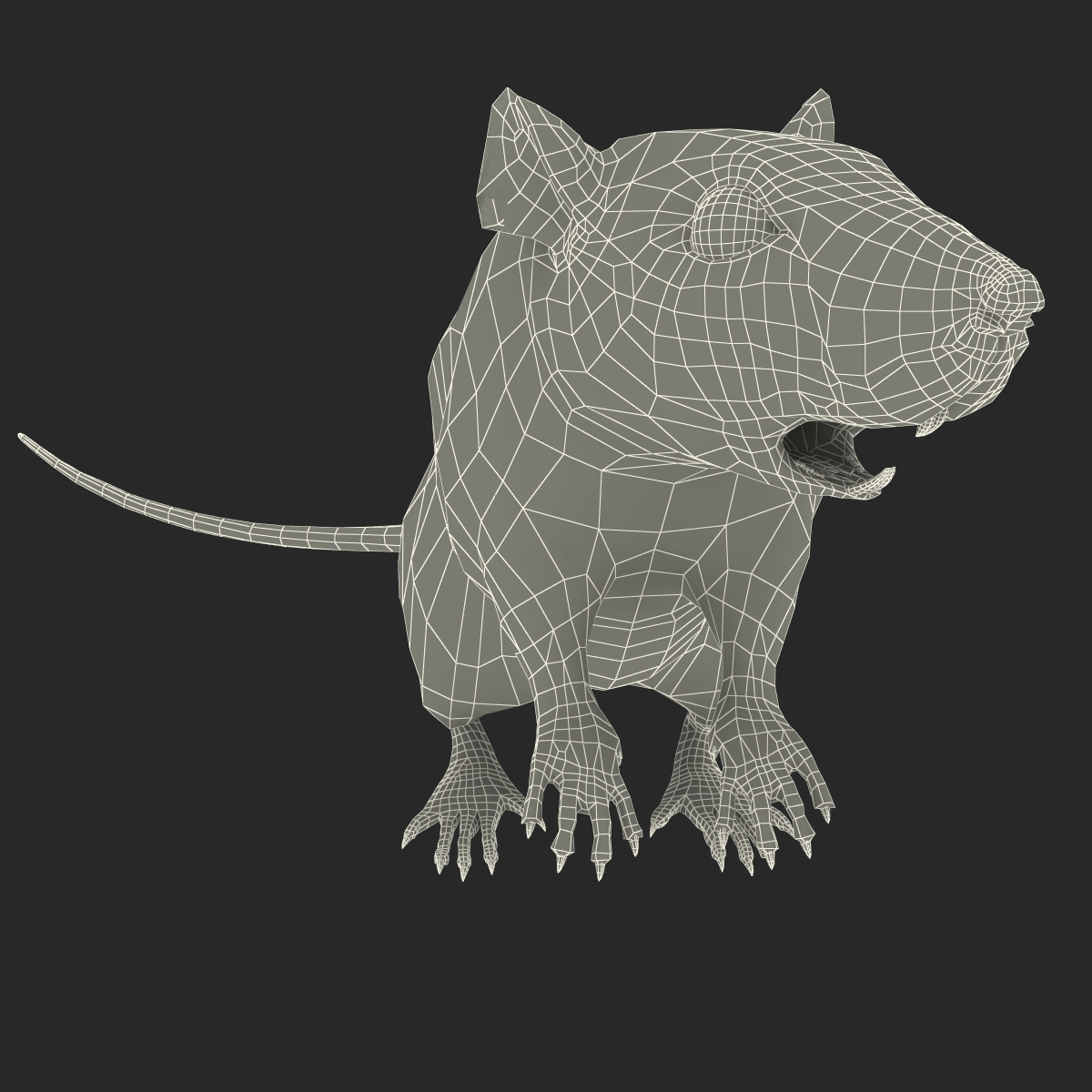 3d rat pose 2 fur model