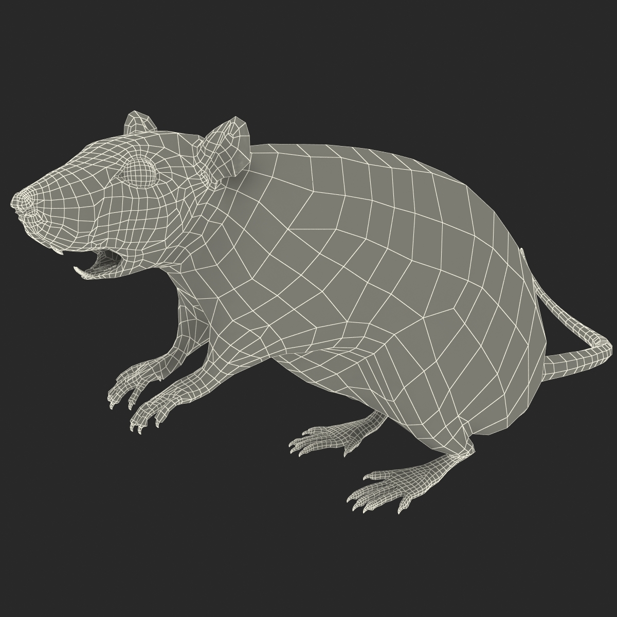 3d rat pose 2 fur model