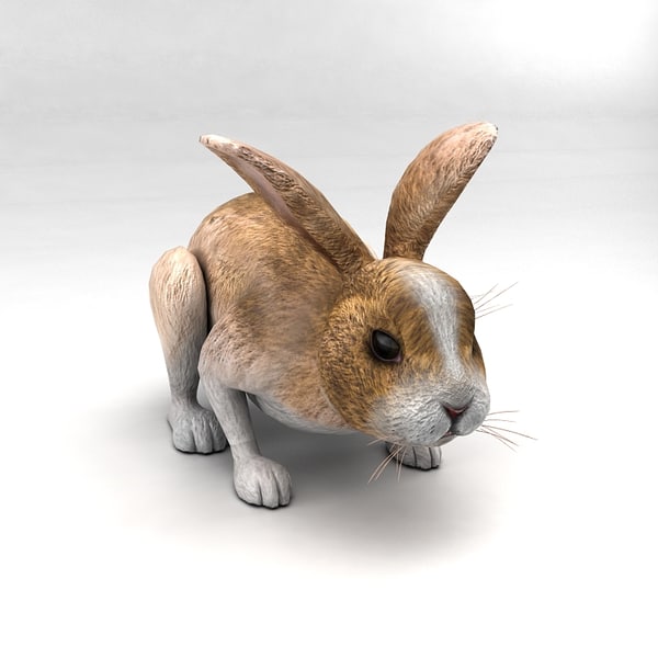 rabbit animation 3d fbx