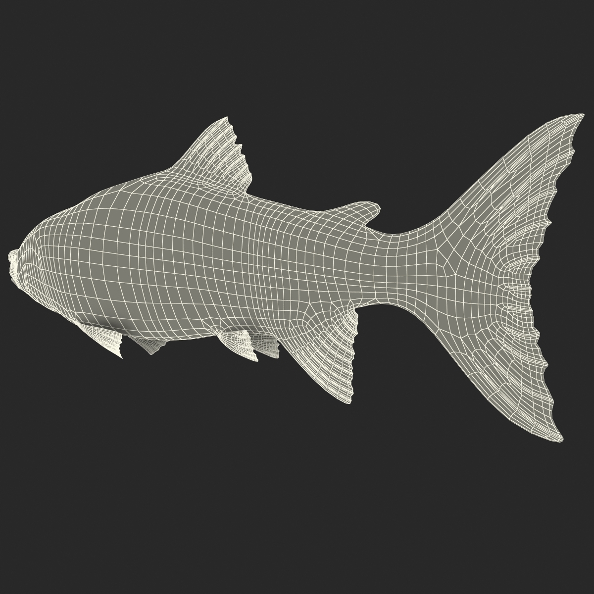 sockeye salmon fish obj