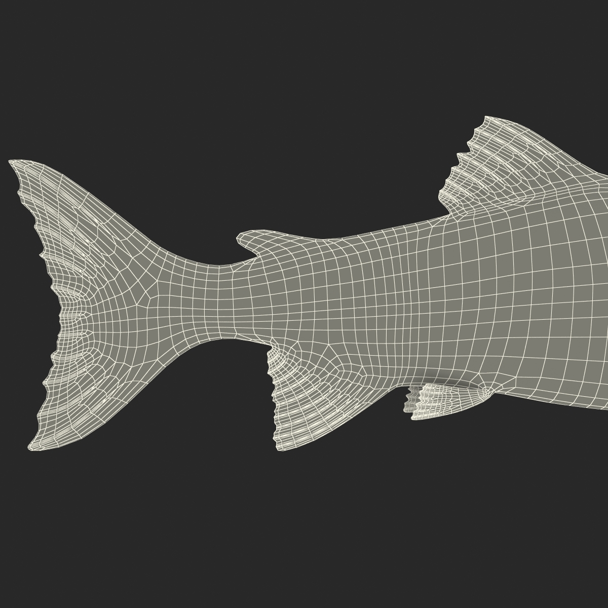 sockeye salmon fish obj