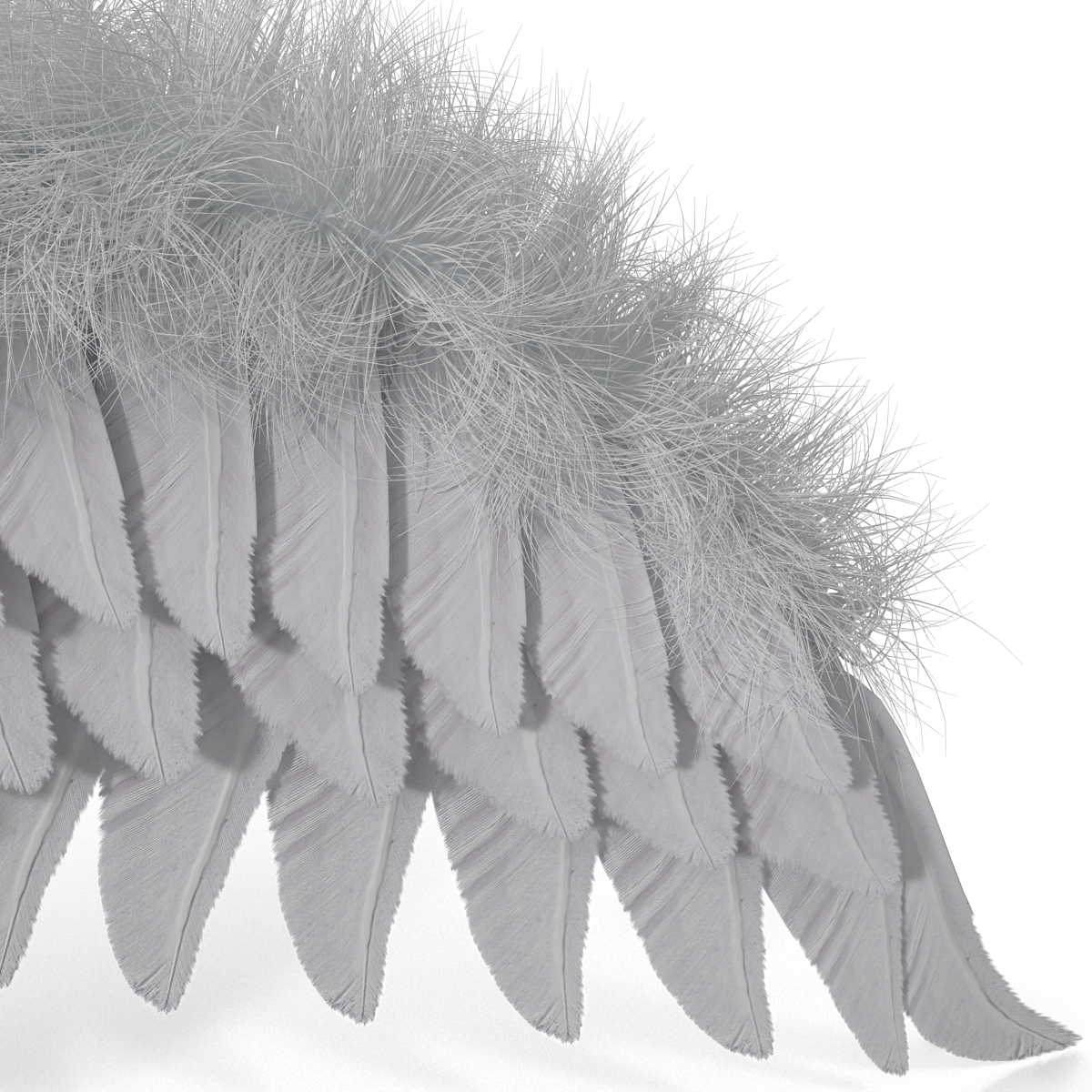 3ds max costume angel wings fur
