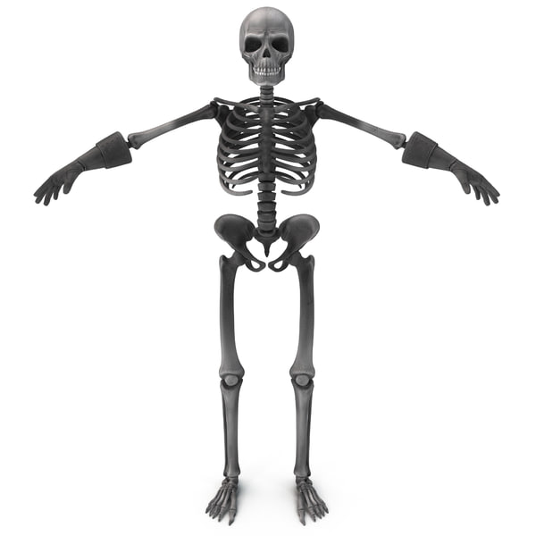 cartoon skeleton 2 max