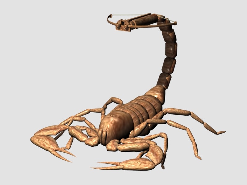 scorpion crossbow max