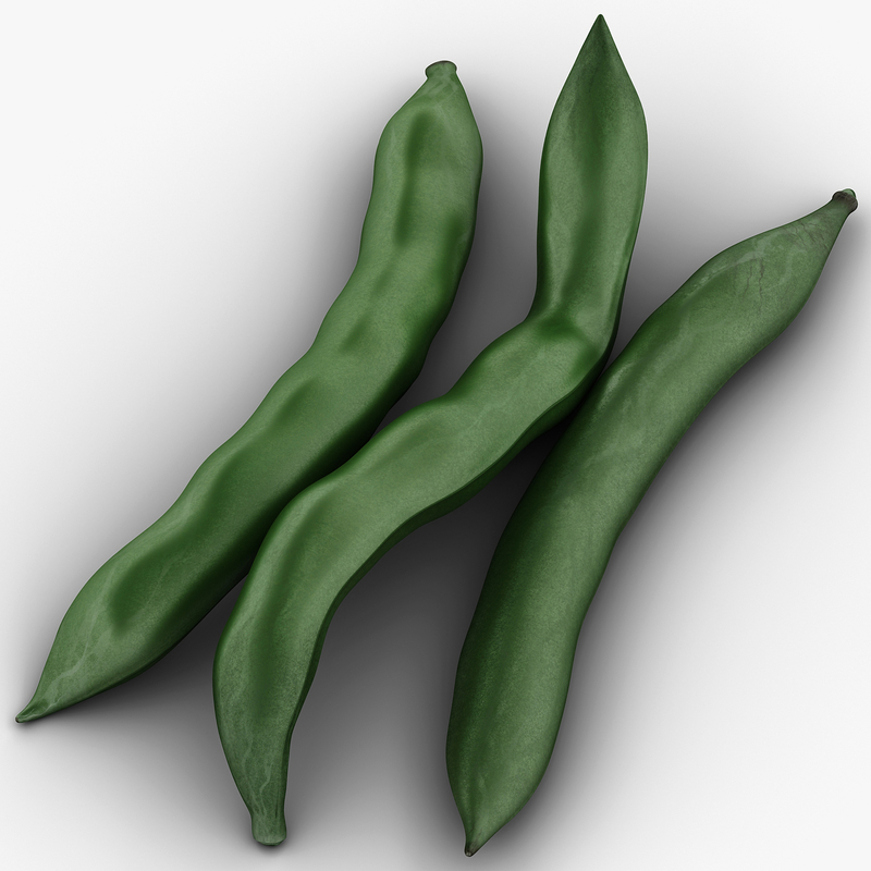 green beans 2 3d model
