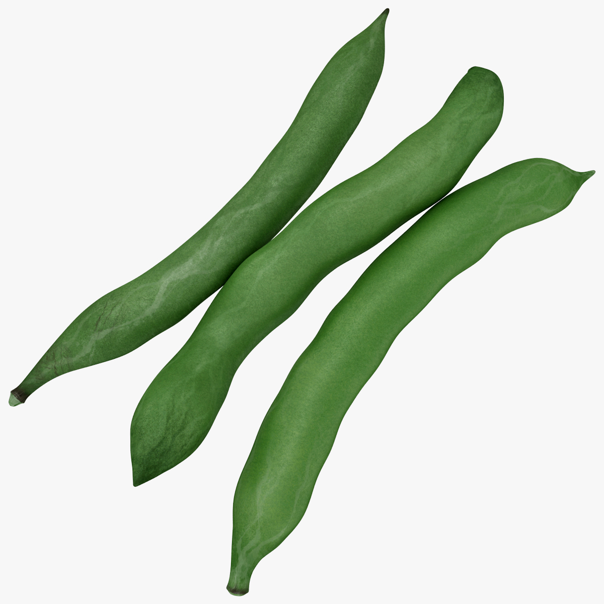 green beans 2 3d model