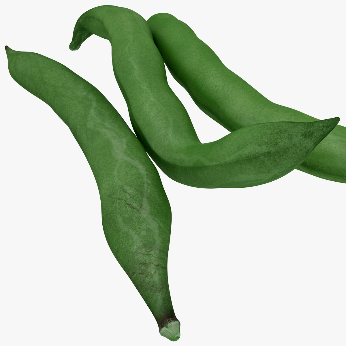green beans 2 3d model