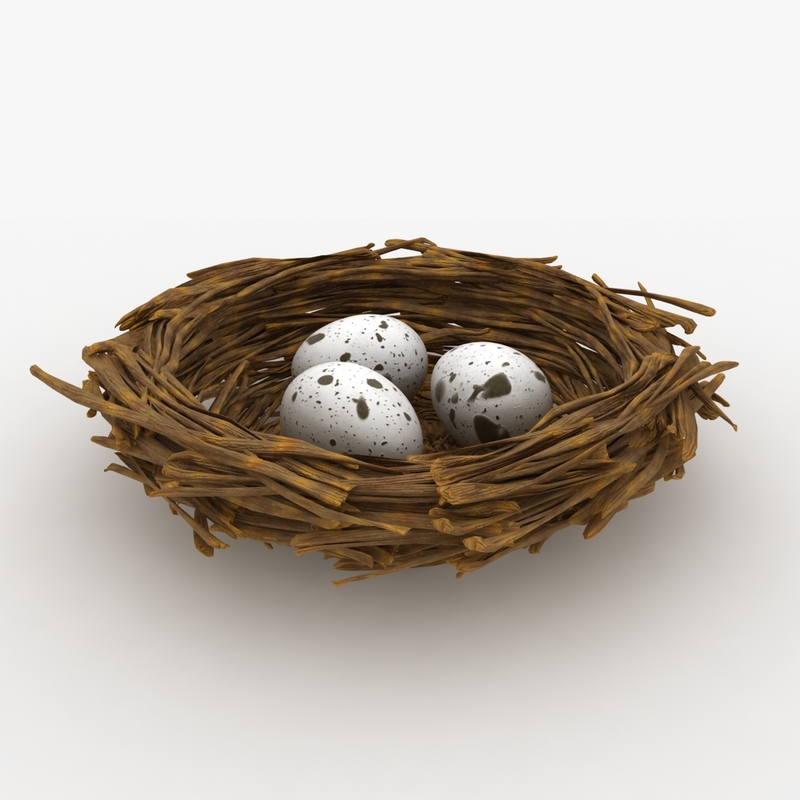 3d model bird nest