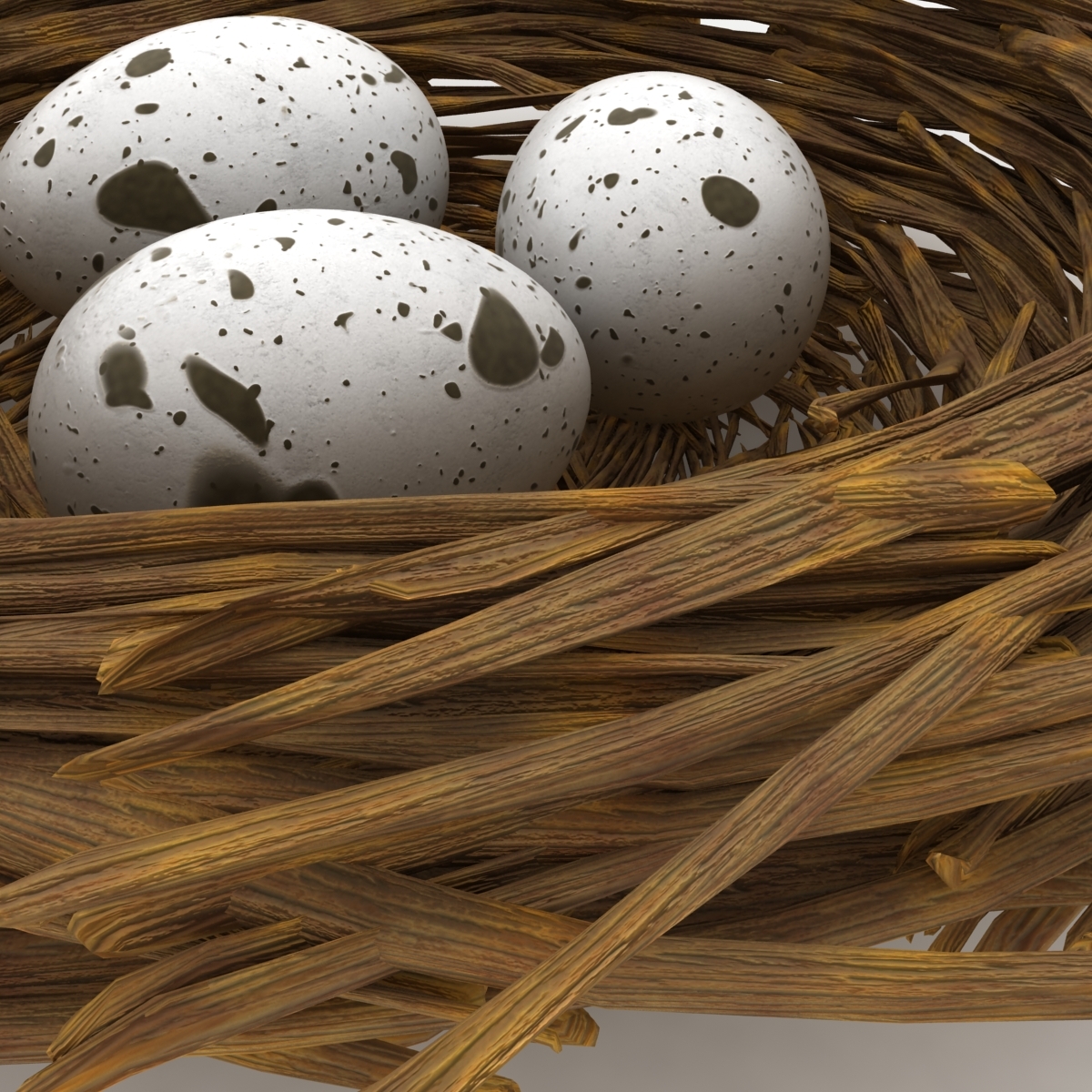 3d model bird nest