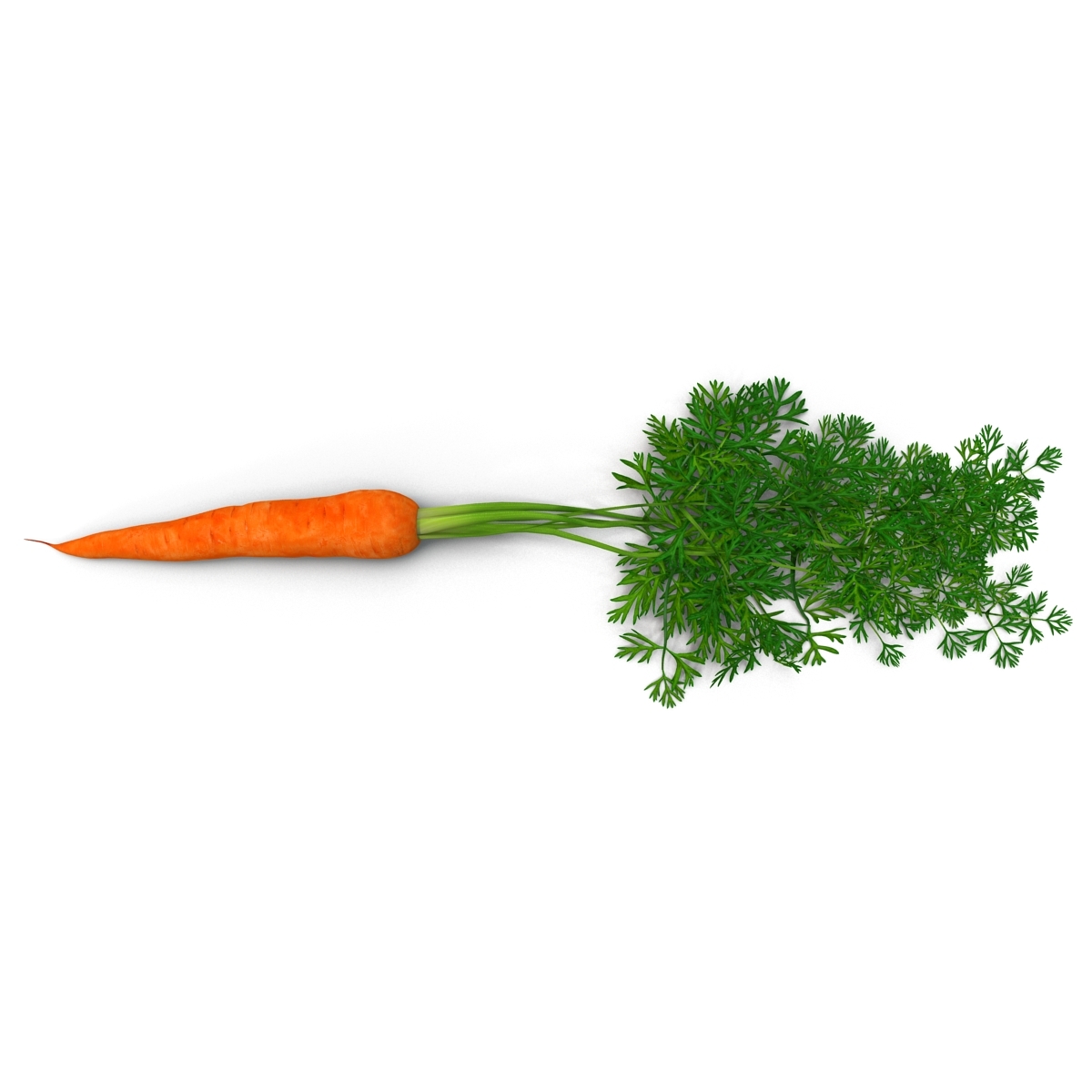 3d carrot 2 model