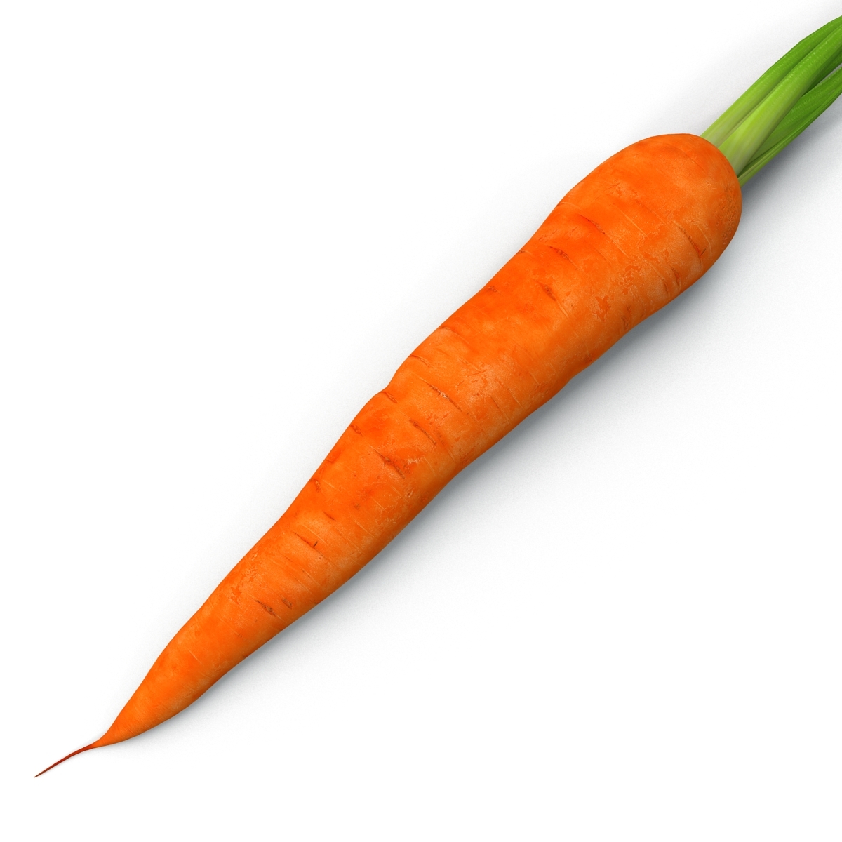 3d carrot 2 model