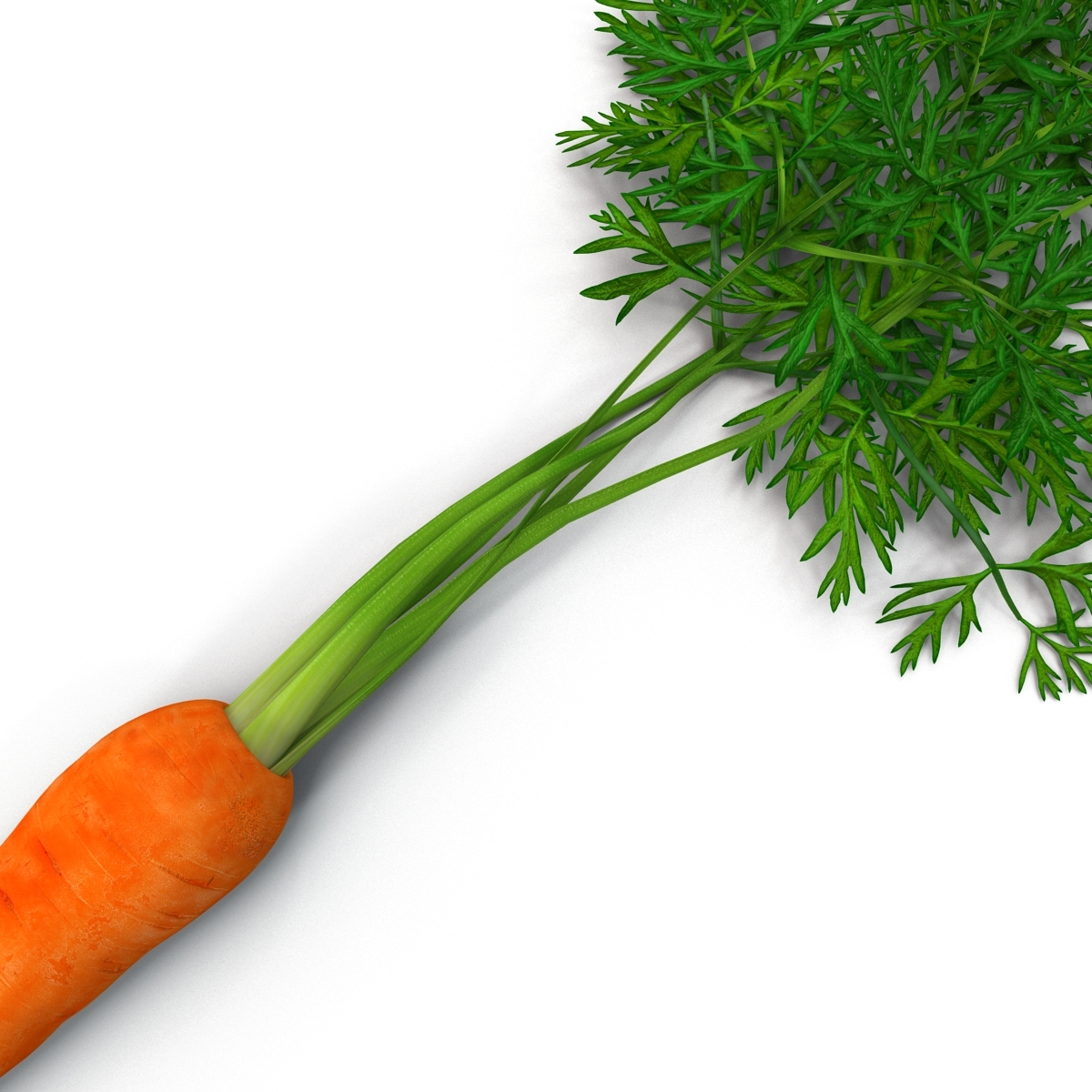 3d carrot 2 model