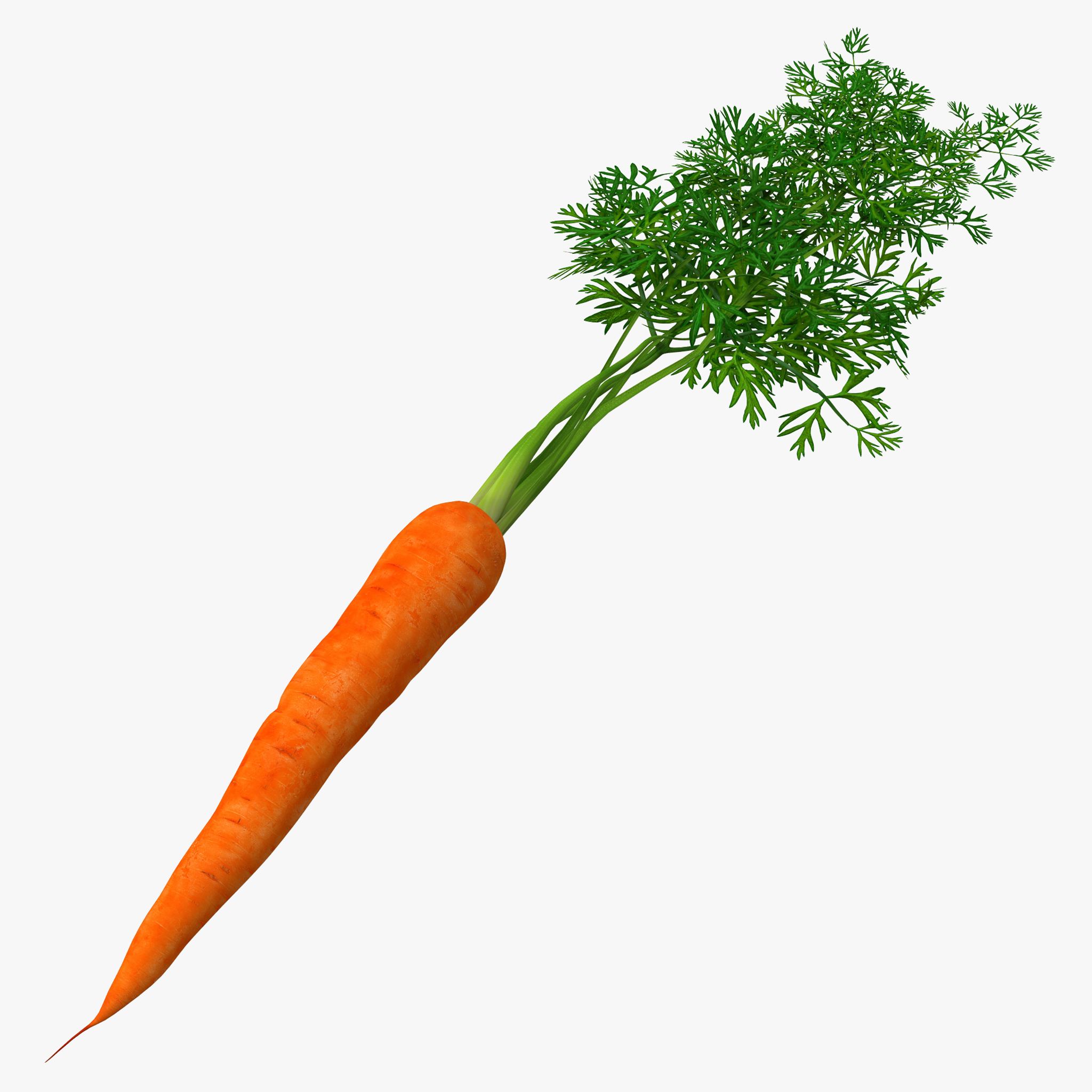 3d carrot 2 model