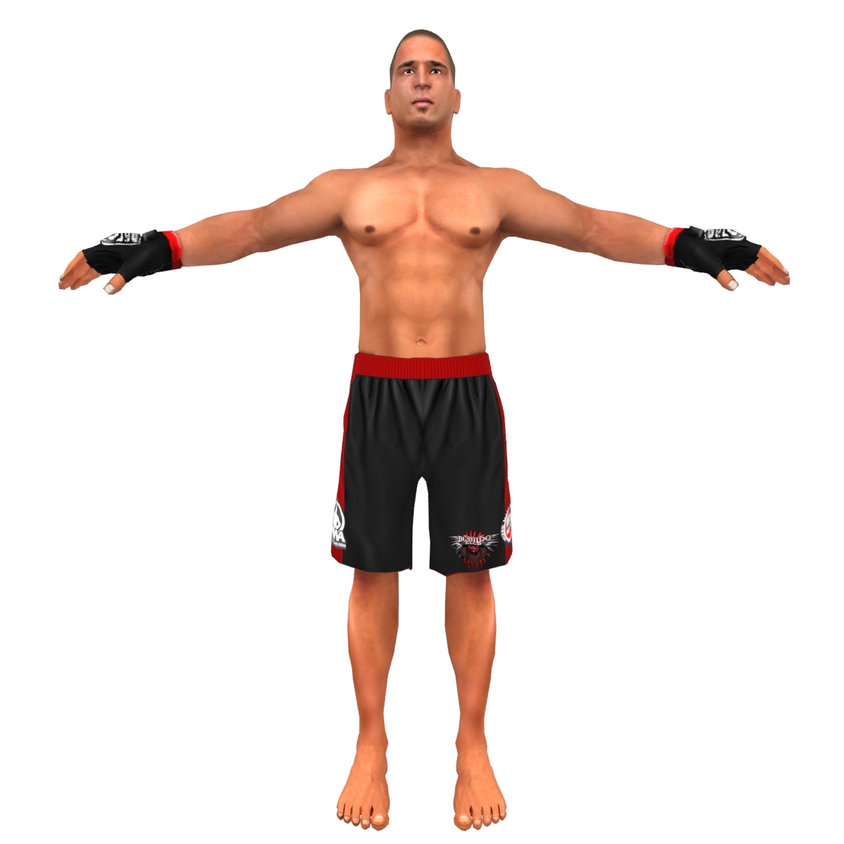 3d mma fighter