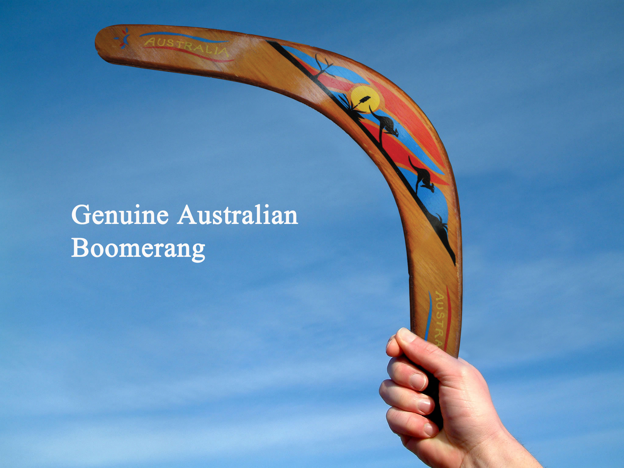 3ds max australian boomerang