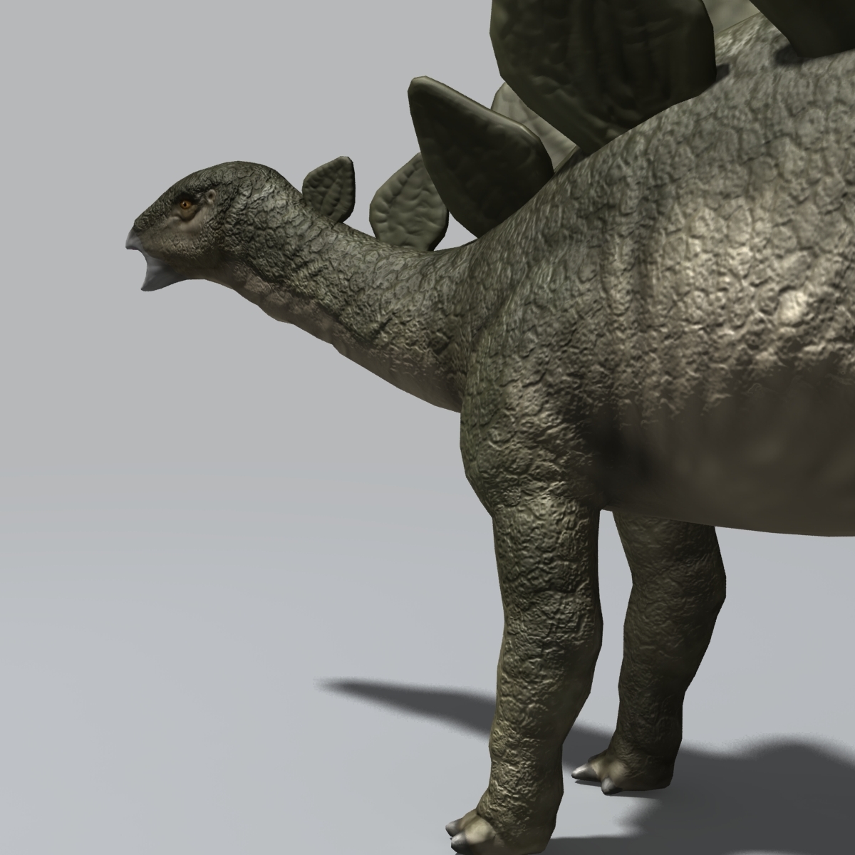 3d stegosaurus herbivore jurassic model