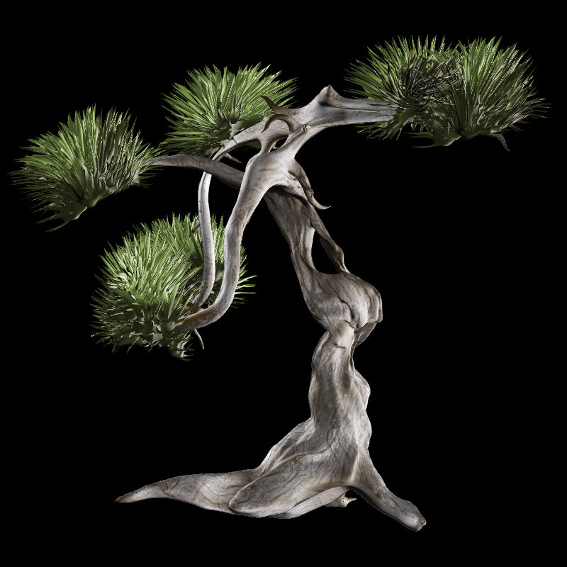 twisted tree 3d obj