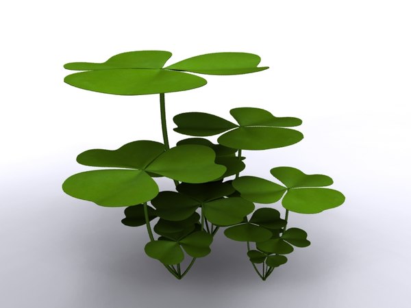 Four Leaf Clover 3D Models for Download | TurboSquid