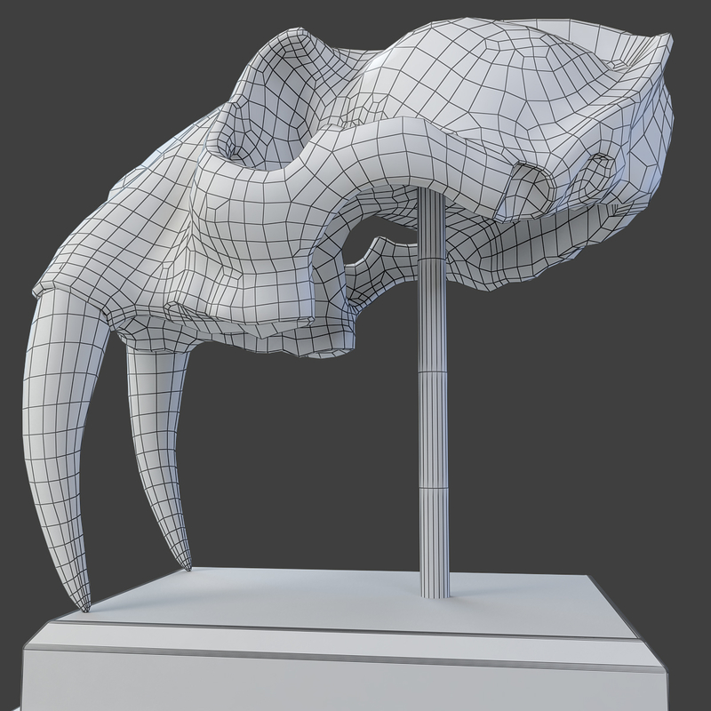 3d model of fossilized saber tooth skull