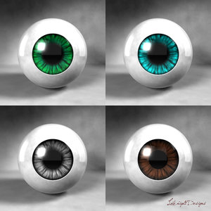 3d model eye