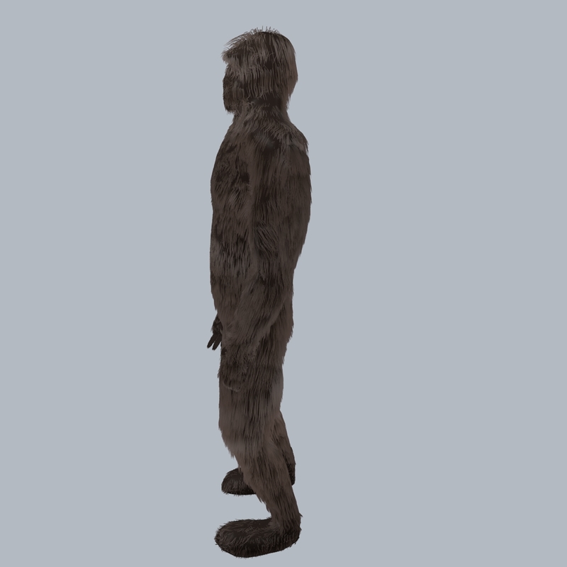 3d sasquatch