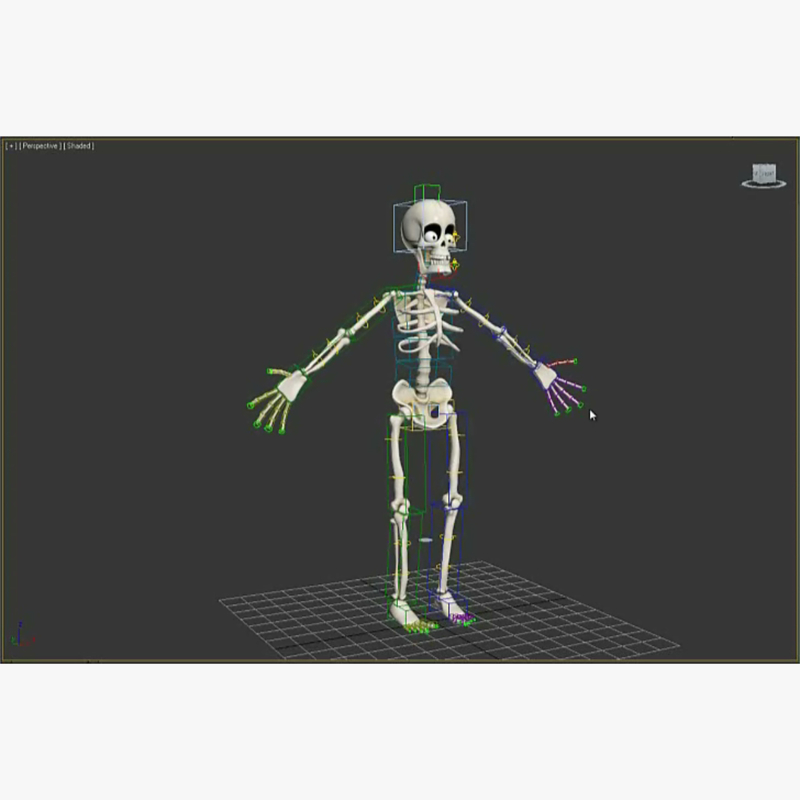 max cartoon skeleton rigged