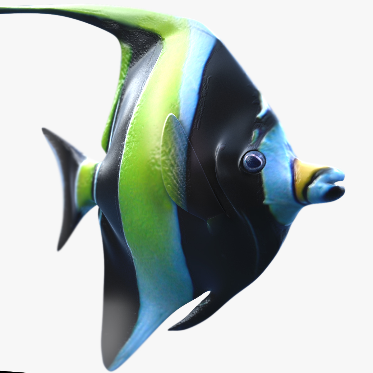 tropical fish 3d model