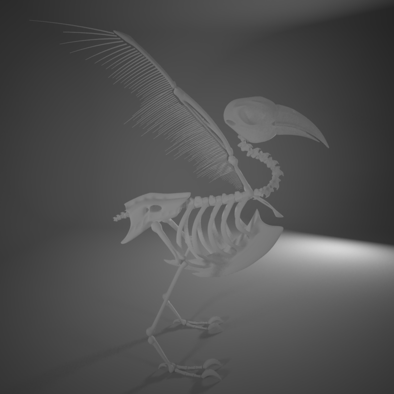 3d model bird skeleton