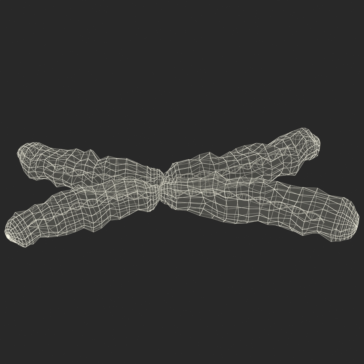 3d Chromosome 