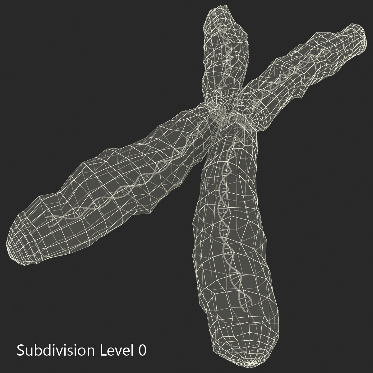3d chromosome