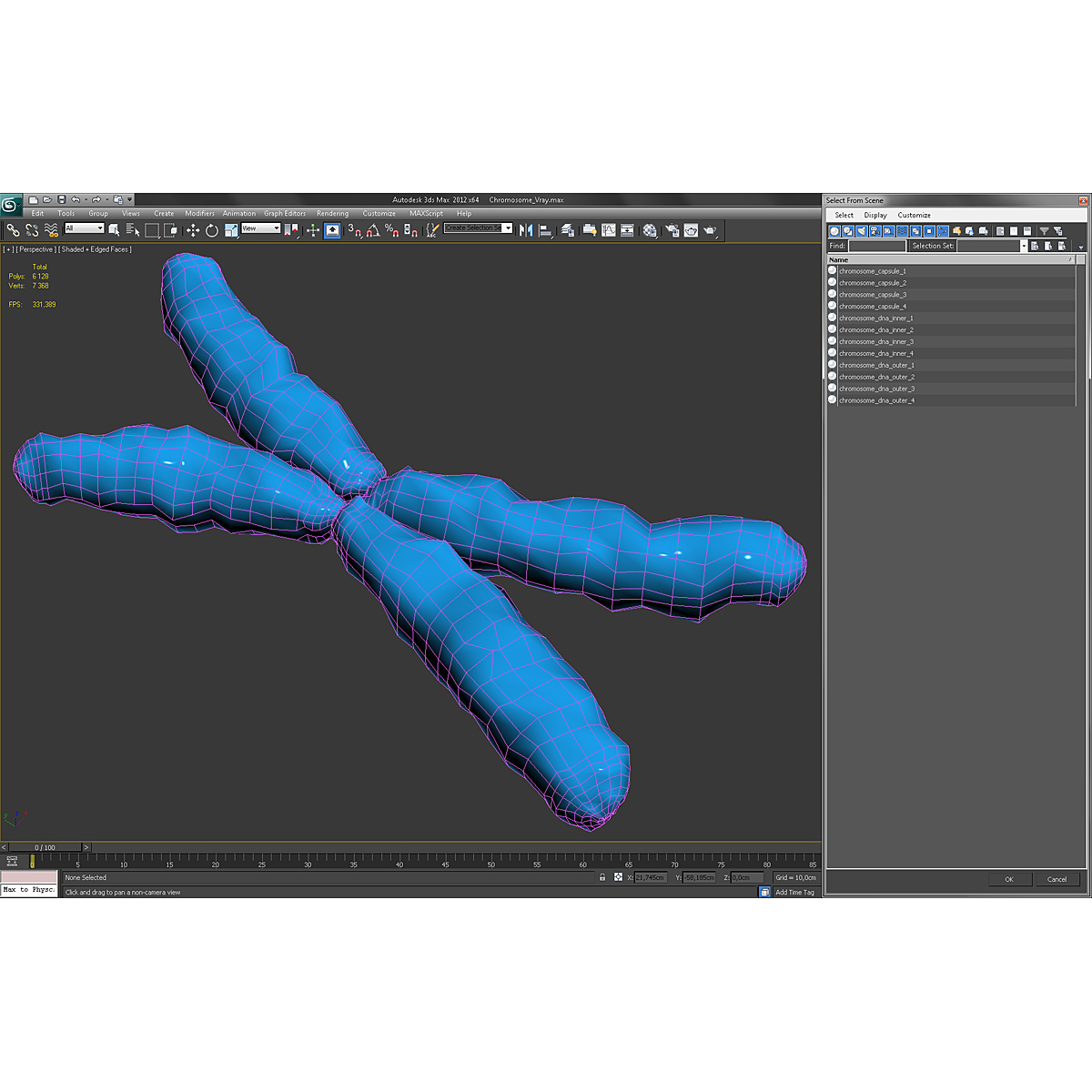 3d chromosome
