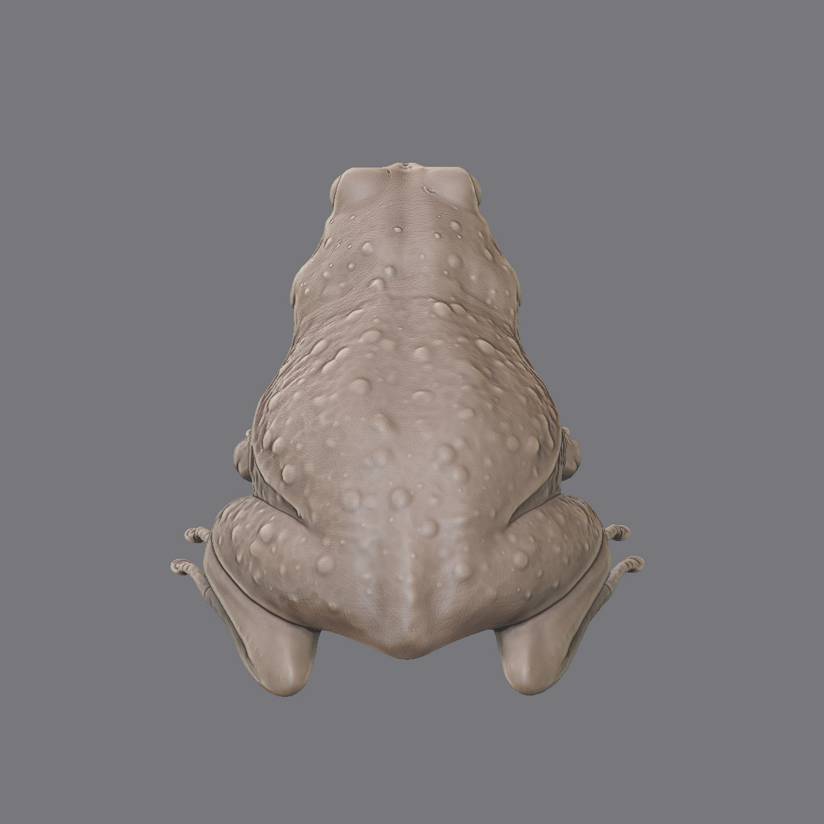 3d toad print