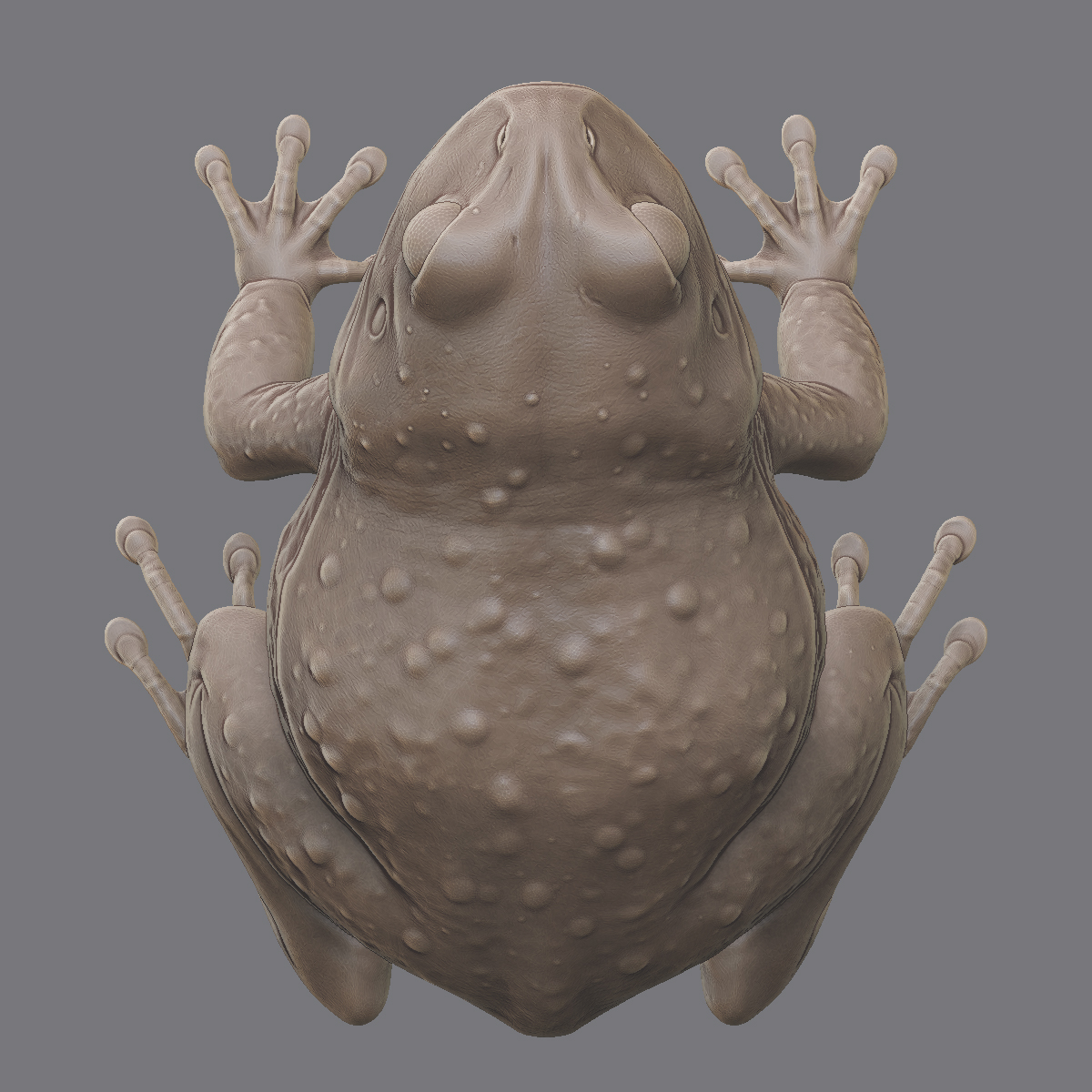 3d toad print