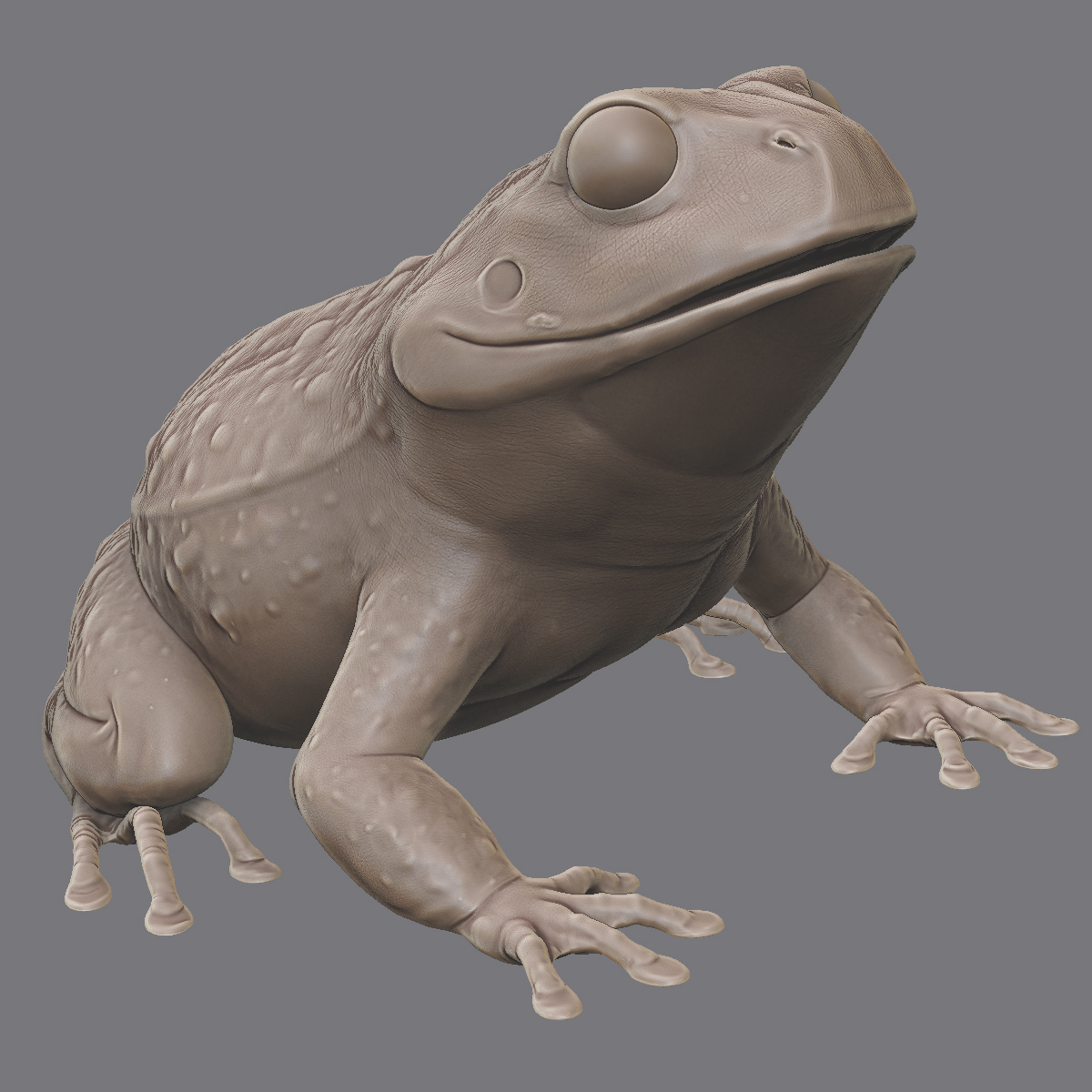 3d toad print