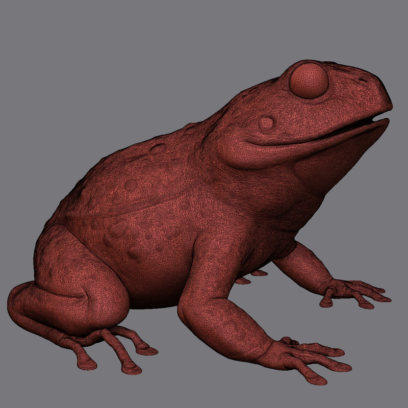 3d toad print