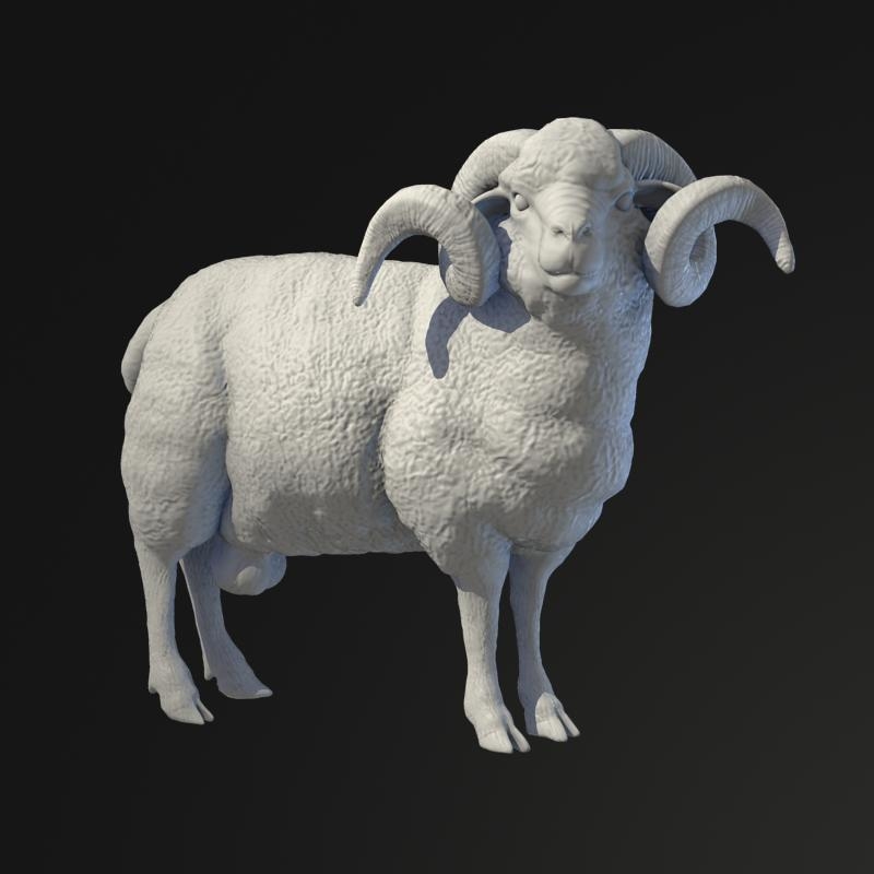 3d sculpture ram model