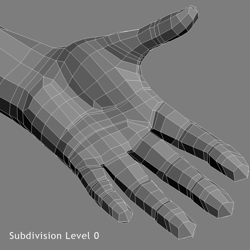 realistic female hand anatomy 3d max