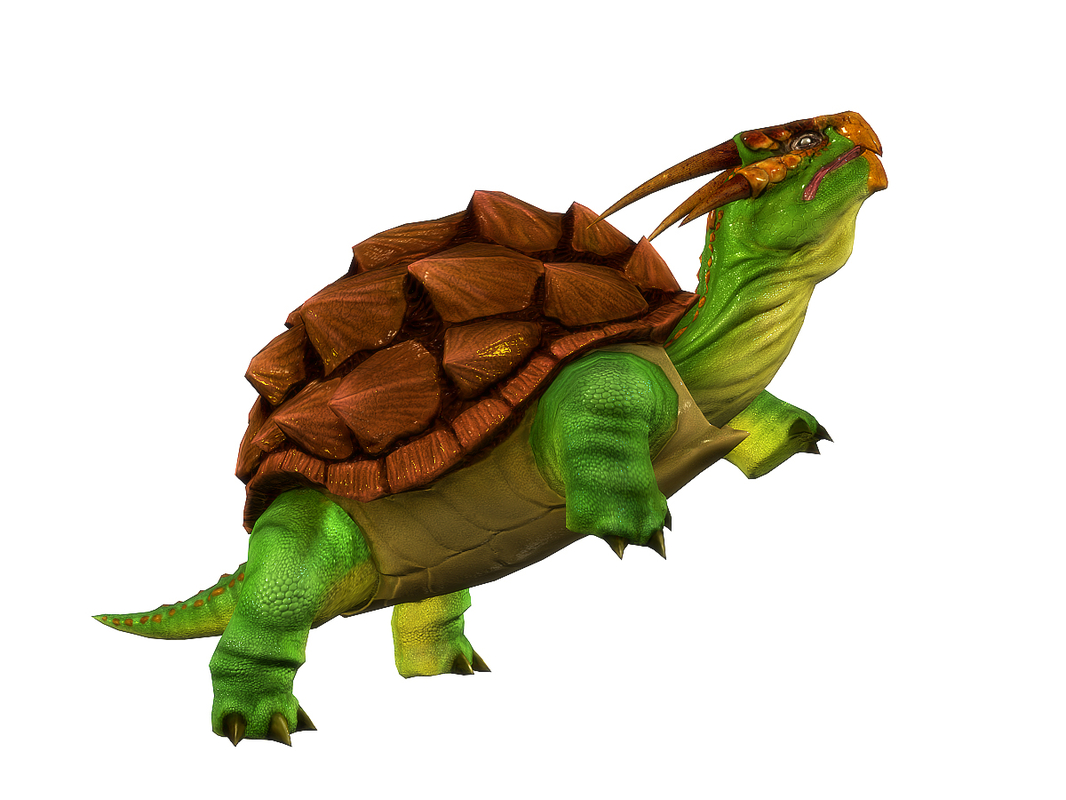 dragon turtles 3d model