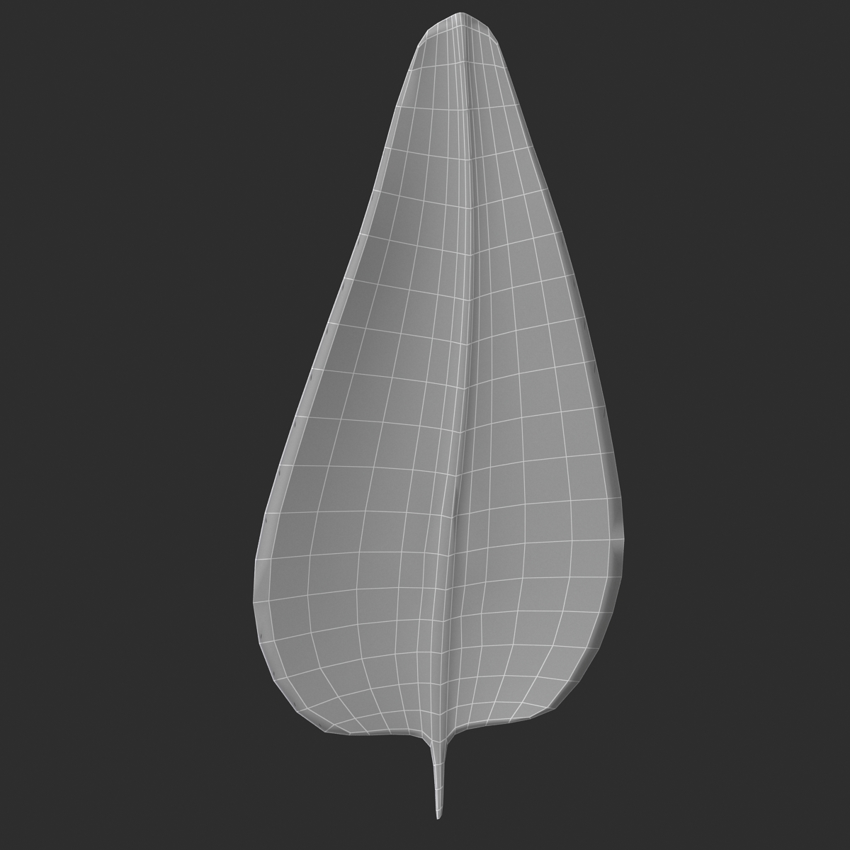 feather 3d model