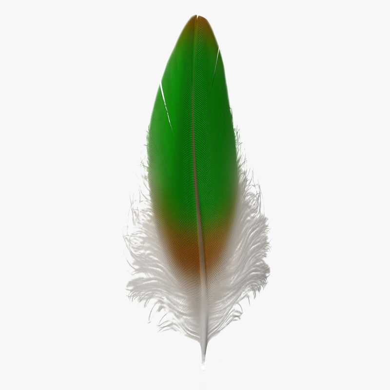 feather 3d model