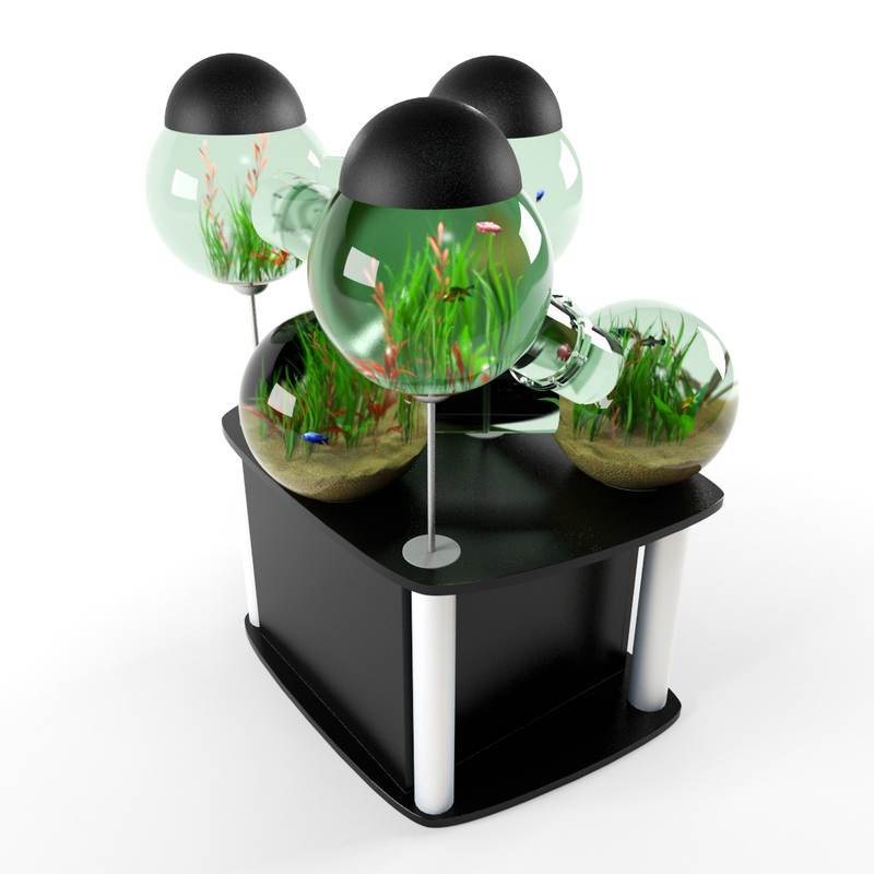 max aquarium labyrinth aqua