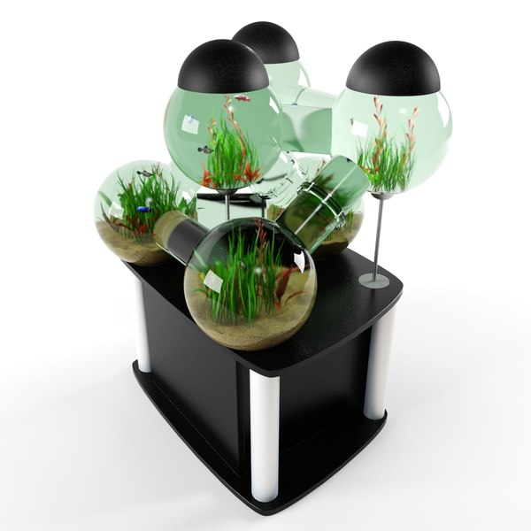 max aquarium labyrinth aqua