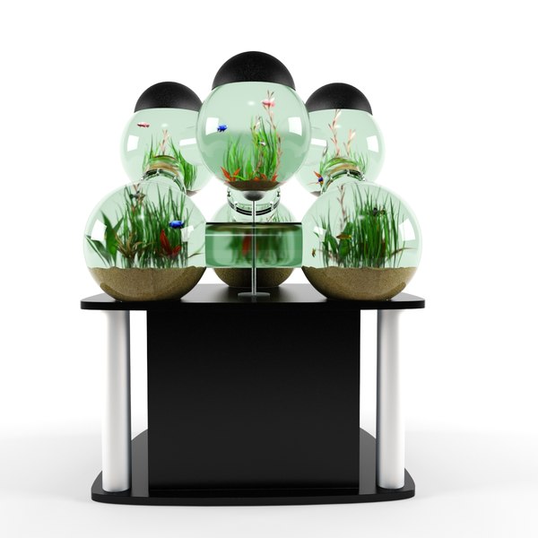 max aquarium labyrinth aqua