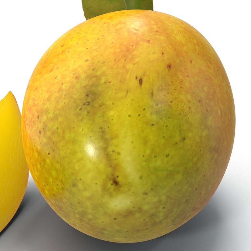 mango 3 3d model